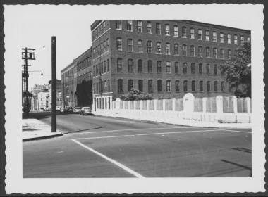 Newark Activism – Myles Zhang